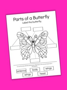 21 Hands-On Butterfly Science Activities for Curious Preschoolers ...