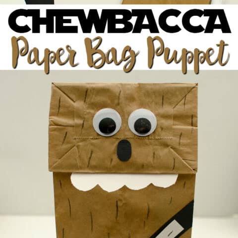 Star Wars Crafts for Preschoolers