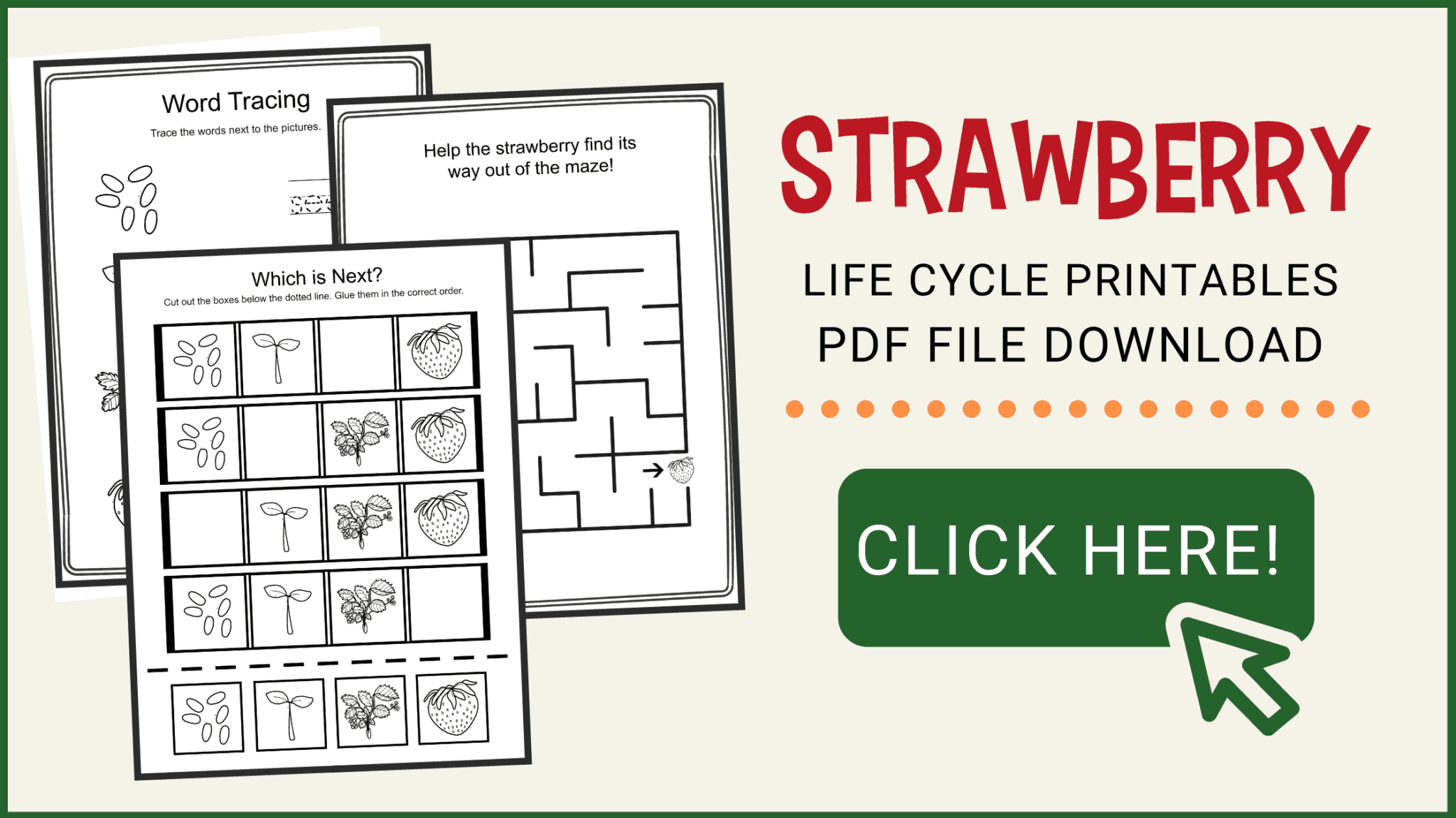 Printable Strawberry Life Cycle Preschool Worksheets