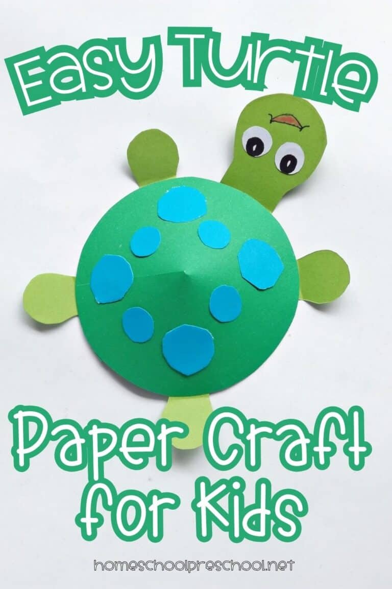 Preschool Turtle Craft Template for Kids
