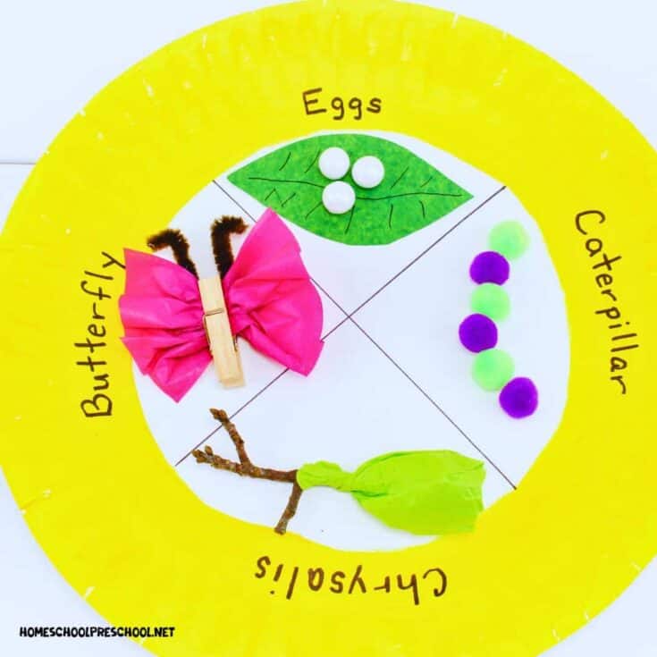 21 Hands-On Butterfly Science Activities for Curious Preschoolers ...