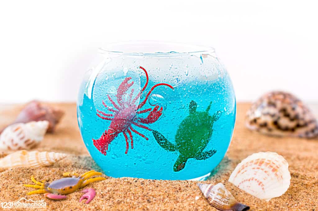10 Summer Beach Crafts for Preschoolers to Make