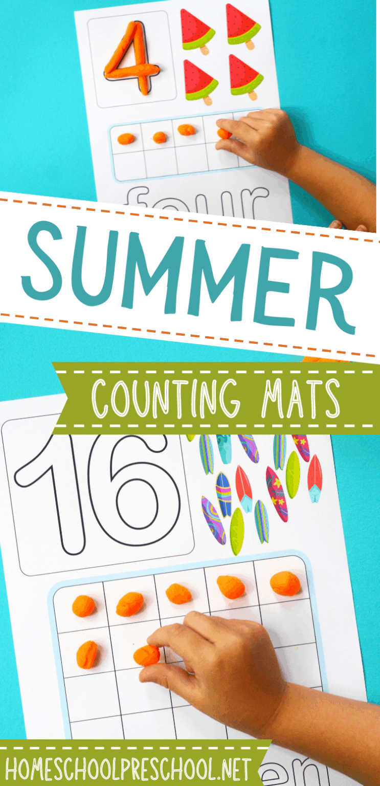 Free Summer Ten Frame Counting Worksheets 1-20