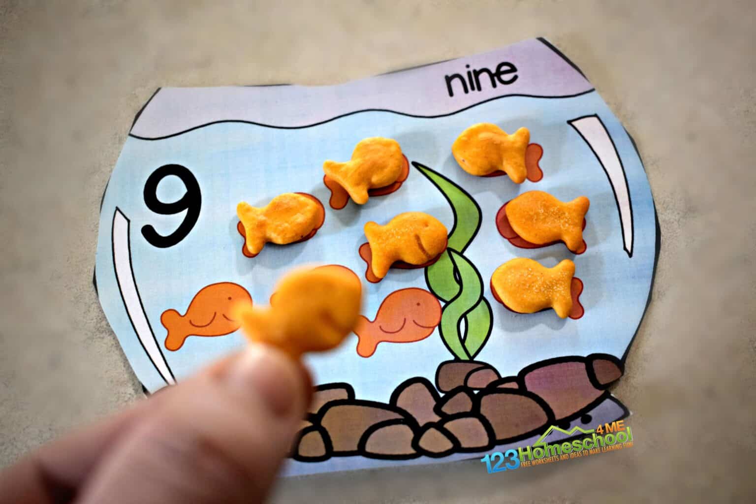 Free Printable Toddler Worksheets to Teach Basic Skills