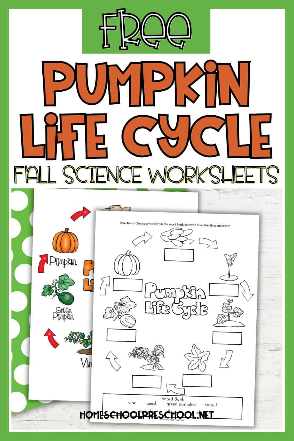 Life Cycle of a Pumpkin Printable Activities for Preschool