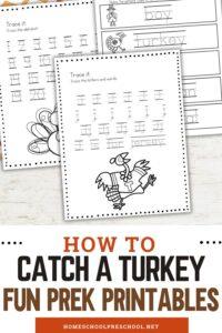 How to Catch a Turkey Activities for Preschool and Kindergarten