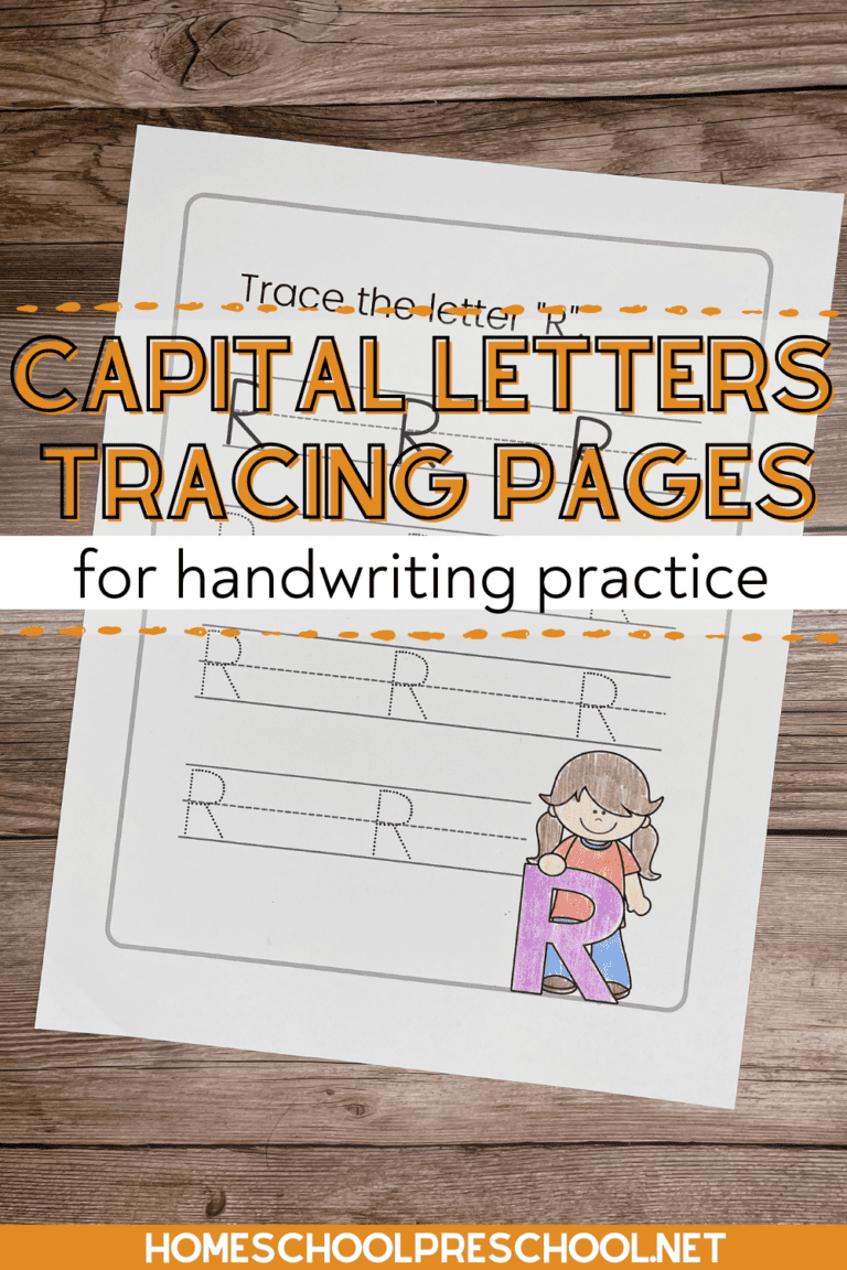 Free Letter Z Tracing Worksheets Letter Z Alphabet Small Alphabet 