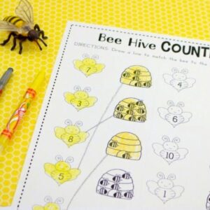 Fun Summer Math Activities for Preschool Learners