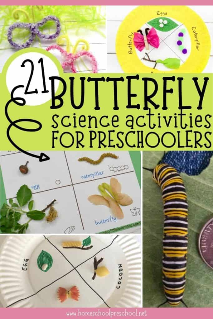 21 Butterfly Science Activities For Preschoolers Homeschool Preschool