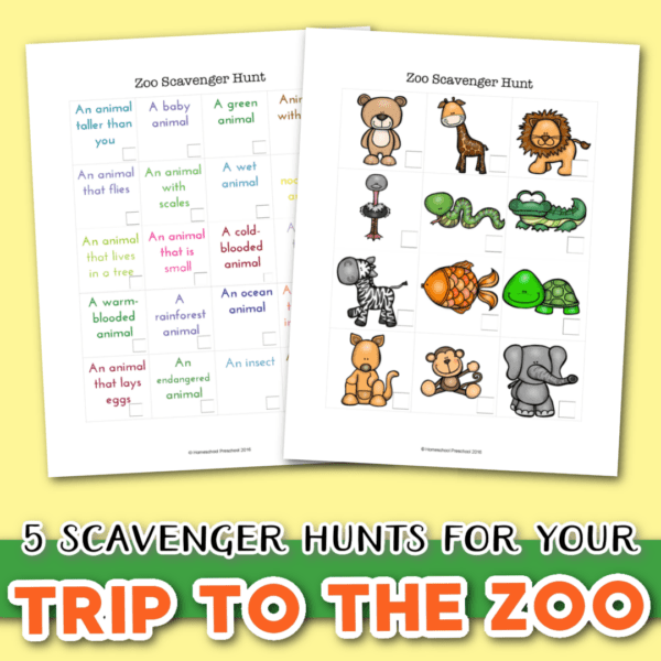 Educational Activities for Kids at the Zoo