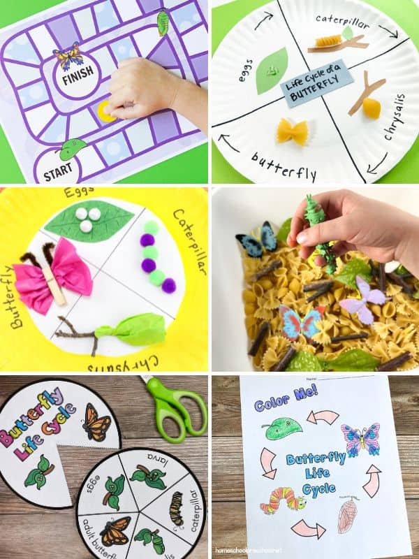 Free Insect Worksheets for Preschool – Fun Bug Activities