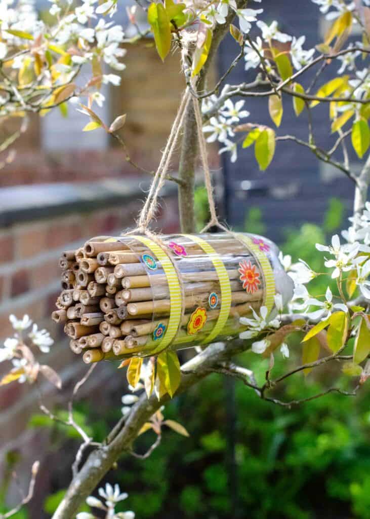 12 Gorgeous Insect Crafts for Kids