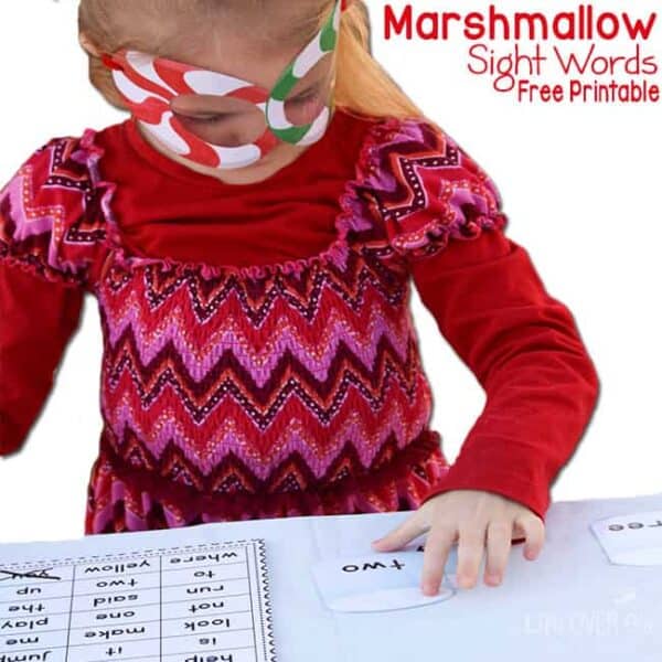 20 Sight Words Hands-On Activities for Kindergarten