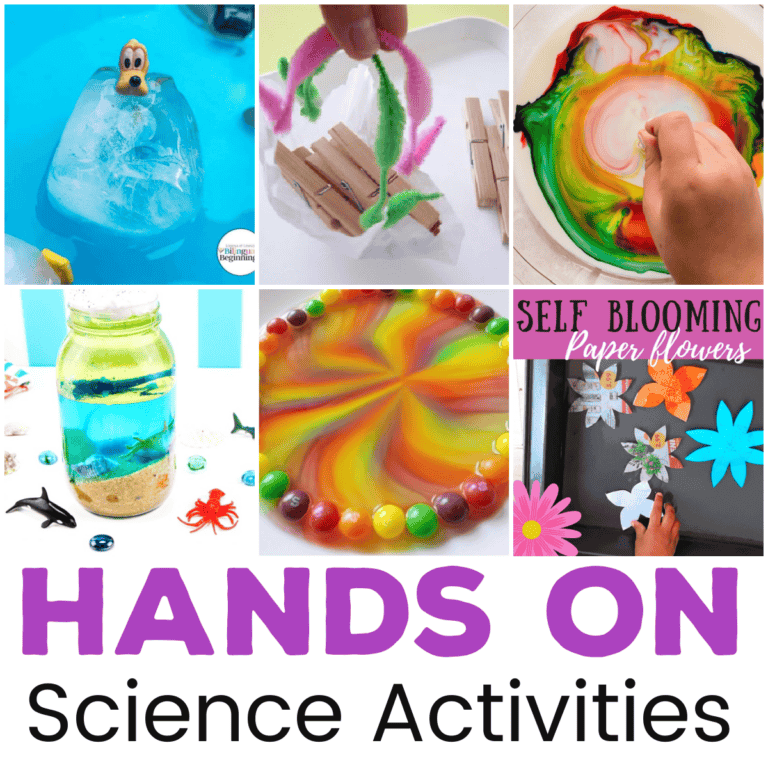 20 Hands On Science Activities For Preschoolers 20 Hands On Science Activities For Preschoolers