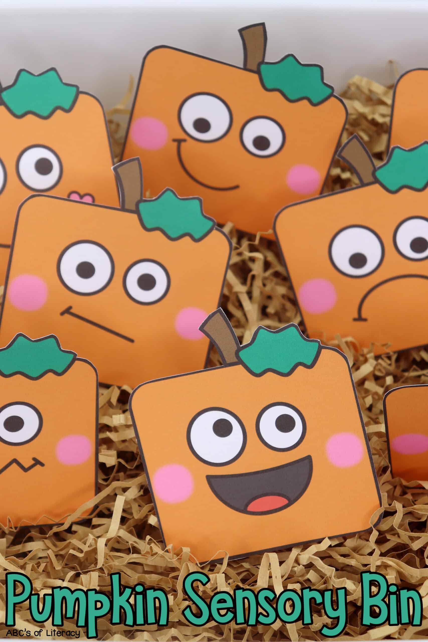 Pumpkin Emotions Sensory Bin