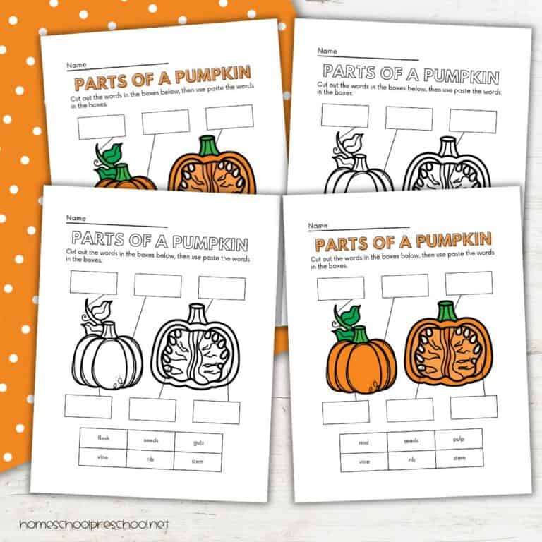 Label the Parts of a Pumpkin – Free Printable for Preschool