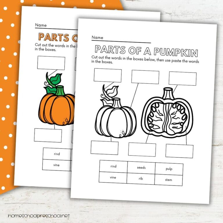Label the Parts of a Pumpkin – Free Printable for Preschool