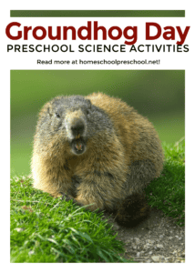 Engaging Groundhog Day Science Activities for Preschoolers
