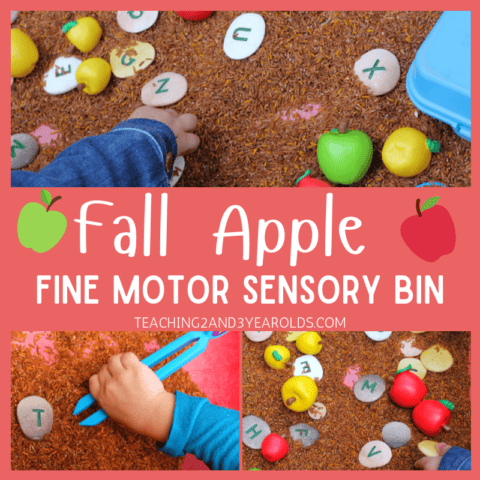 20 Engaging Apple Sensory Bin Ideas for Your Preschoolers