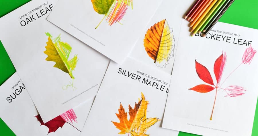 Printable Autumn Leaves Activities for Toddlers and Preschoolers