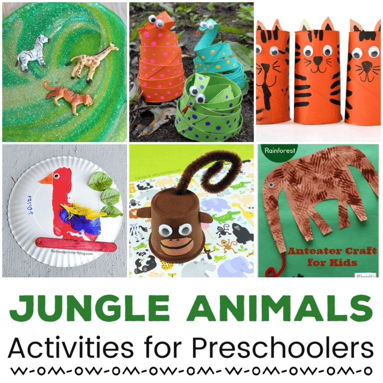 Jungle Animal Activities for Preschoolers | Homeschool Preschool