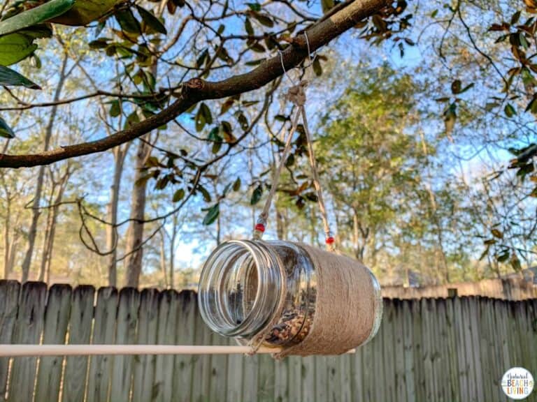 Make Homemade Bird Feeders with the Kids
