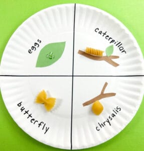 Butterfly Life Cycle Craft with Pasta (Easy Paper Plate Activity)