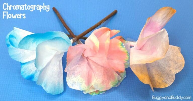 Flower Science Activities for Preschoolers