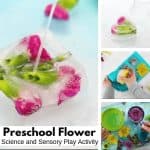 Flower Science Activities for Preschoolers
