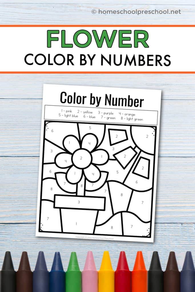 Flower Color by Number Printables | Spring and Summer Fun!