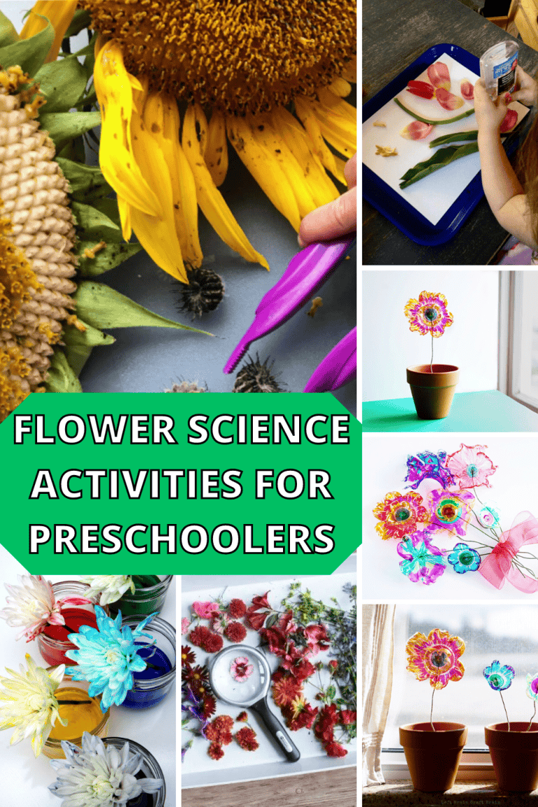 Flower Science Activities For Preschoolers