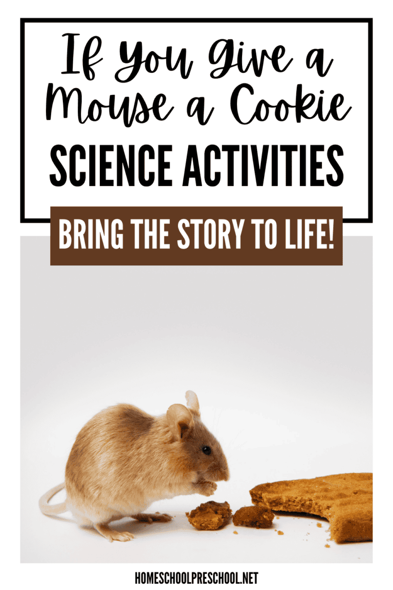 If You Give a Mouse a Cookie Science Activities