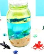 Ocean Science Experiments for Preschool Kids