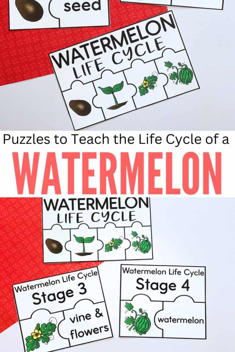 Free Watermelon Life Cycle Printable Puzzles