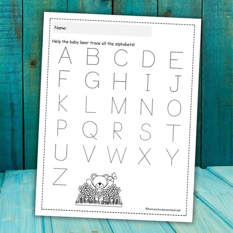 Free Printable Teddy Bear Worksheets for Preschoolers