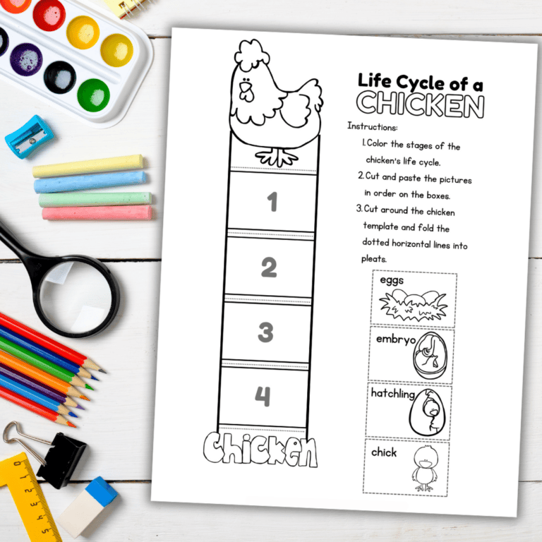 Free Printable Chicken Life Cycle Craft for Preschoolers
