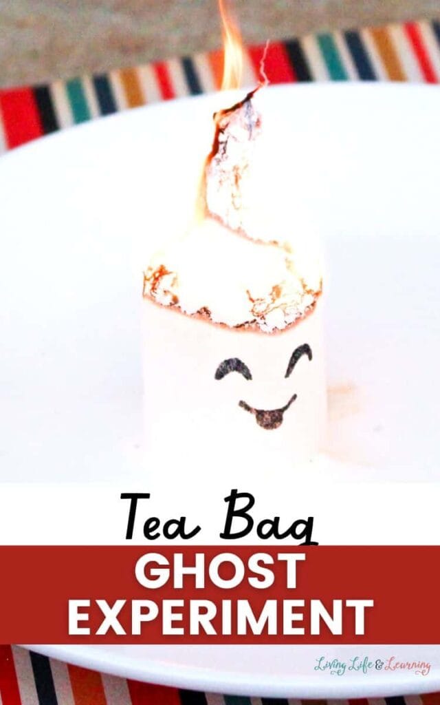 Halloween Science Activities for Preschool: Experiments Kids Love
