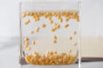 Engaging Thanksgiving STEM Activities for Preschoolers