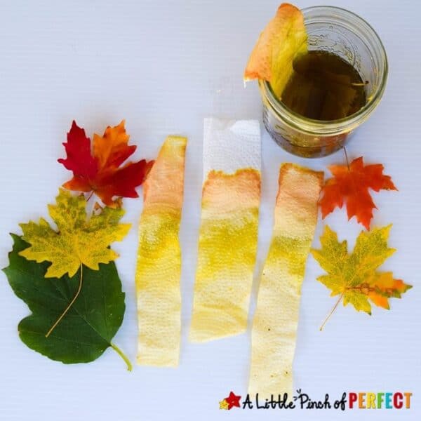 Exploring the Magic of Fall Science Experiments for Kids