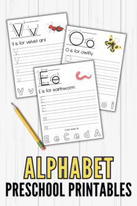 Bug-Themed Preschool Letter Recognition Worksheet