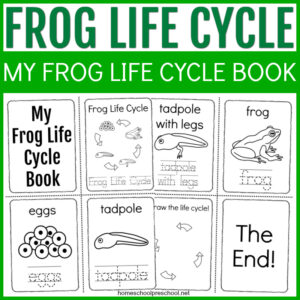 Engage Kids with Our Printable Frog Life Cycle Book Now!
