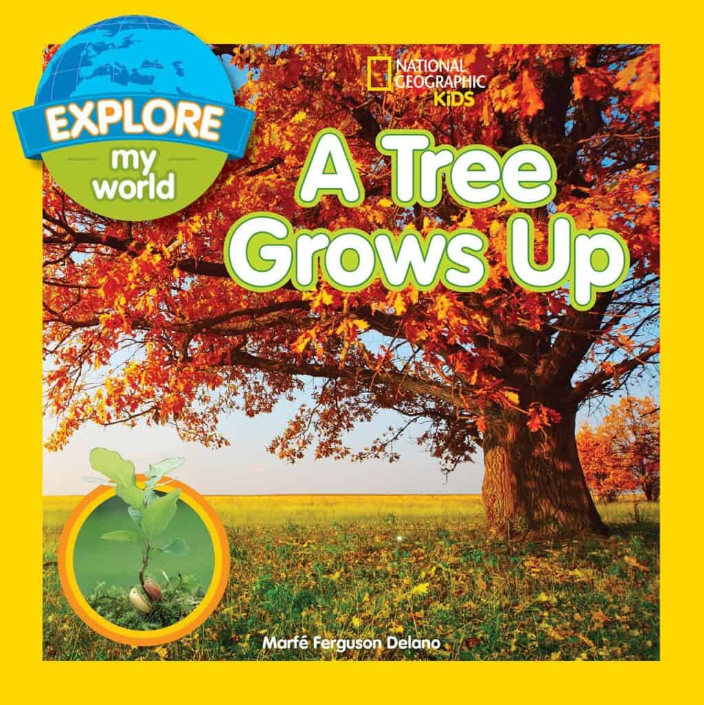 Top 12 Engaging Books About Seasons for Preschoolers