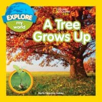 Top 12 Engaging Books About Seasons for Preschoolers