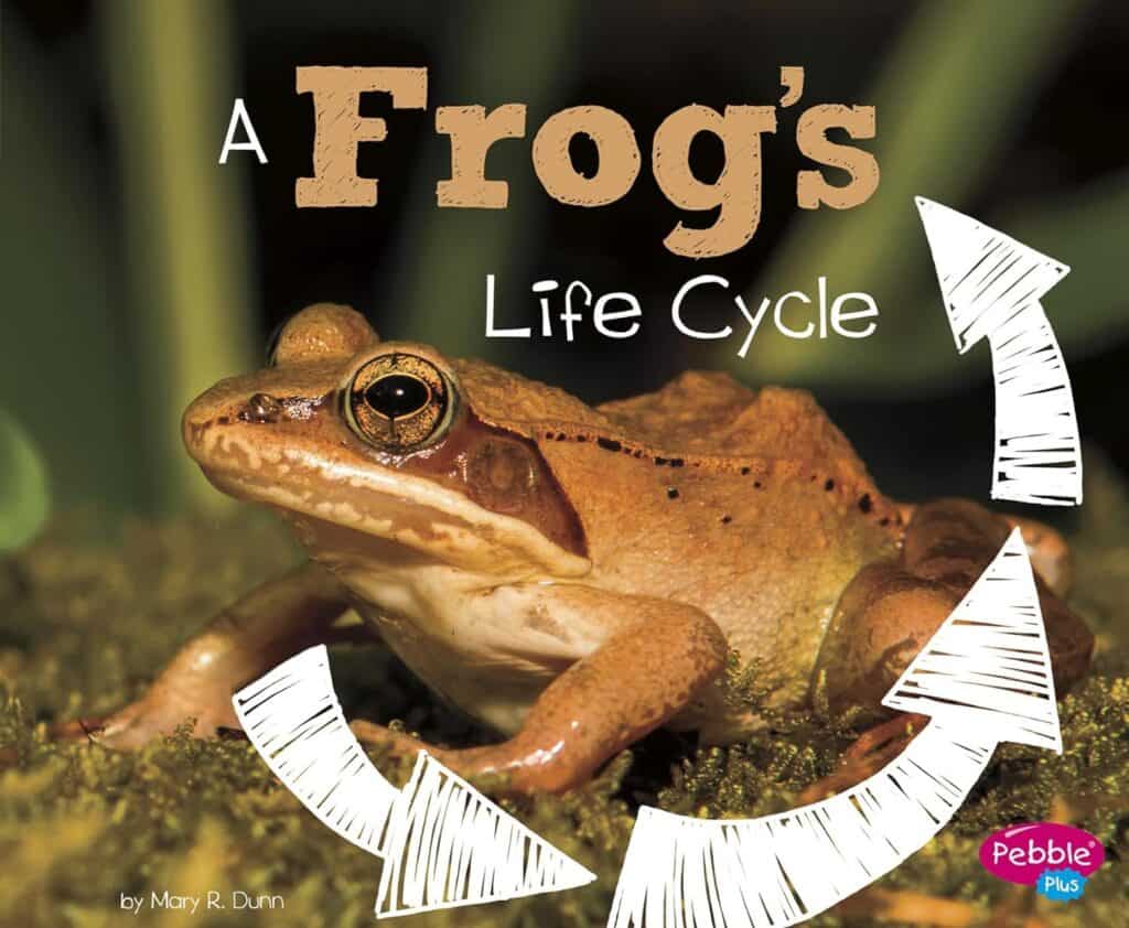15 Nonfiction Frog Books for Preschoolers