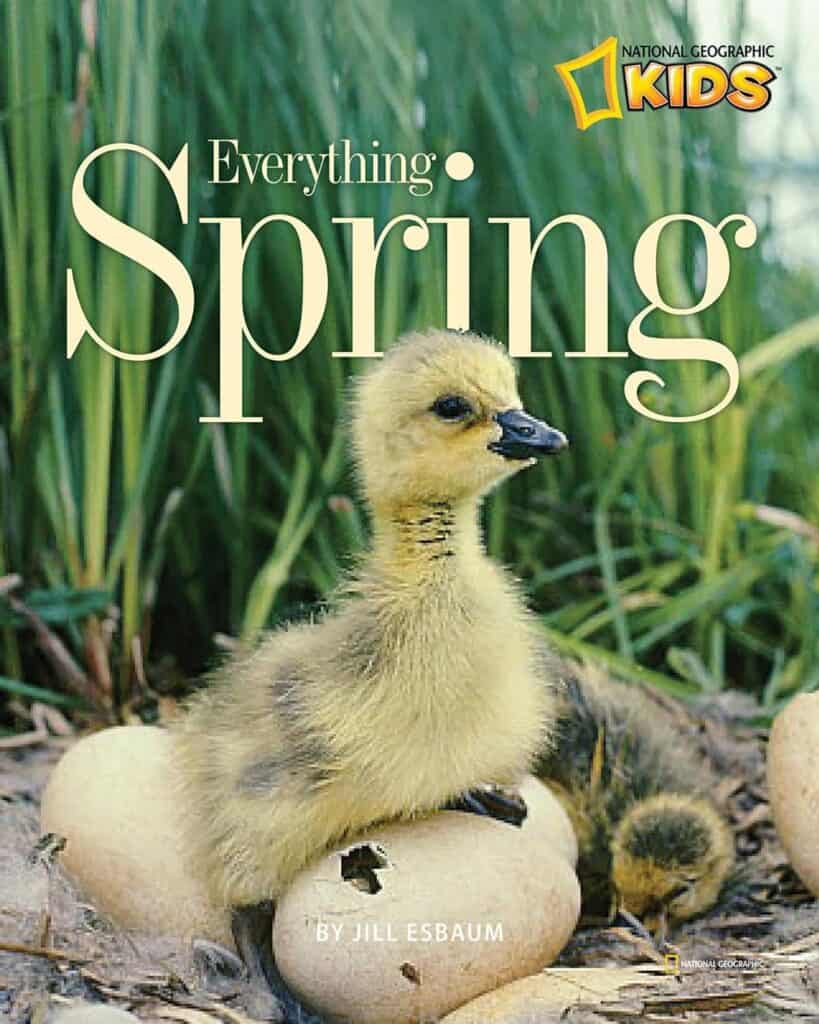 Top 12 Engaging Books About Seasons for Preschoolers