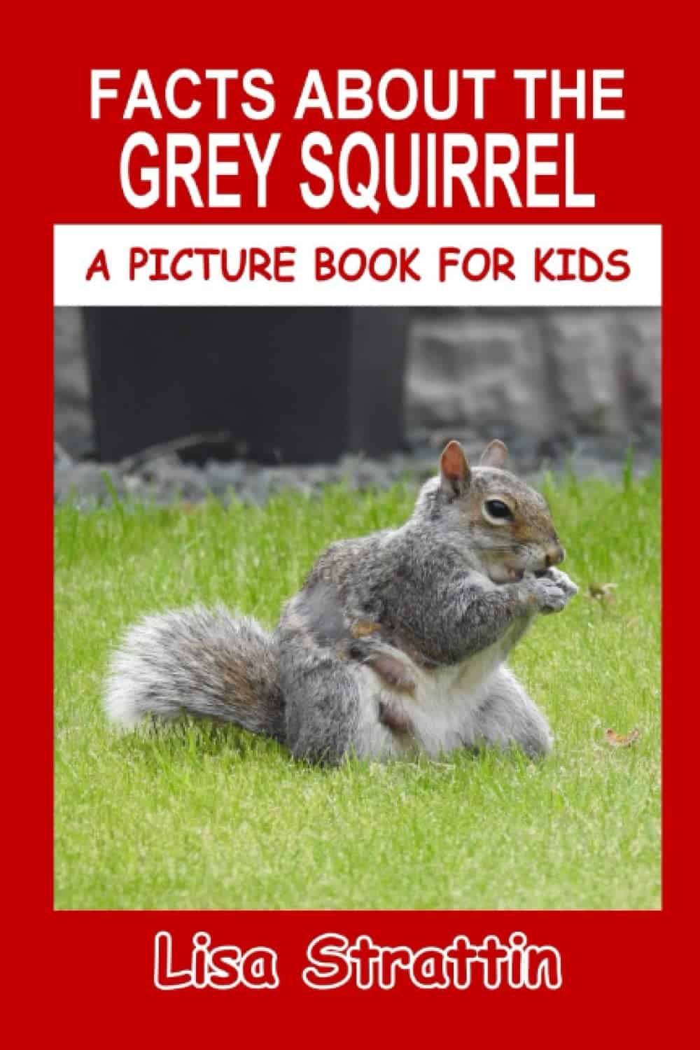 Non-Fiction Books About Squirrels: Top Picks for Kids