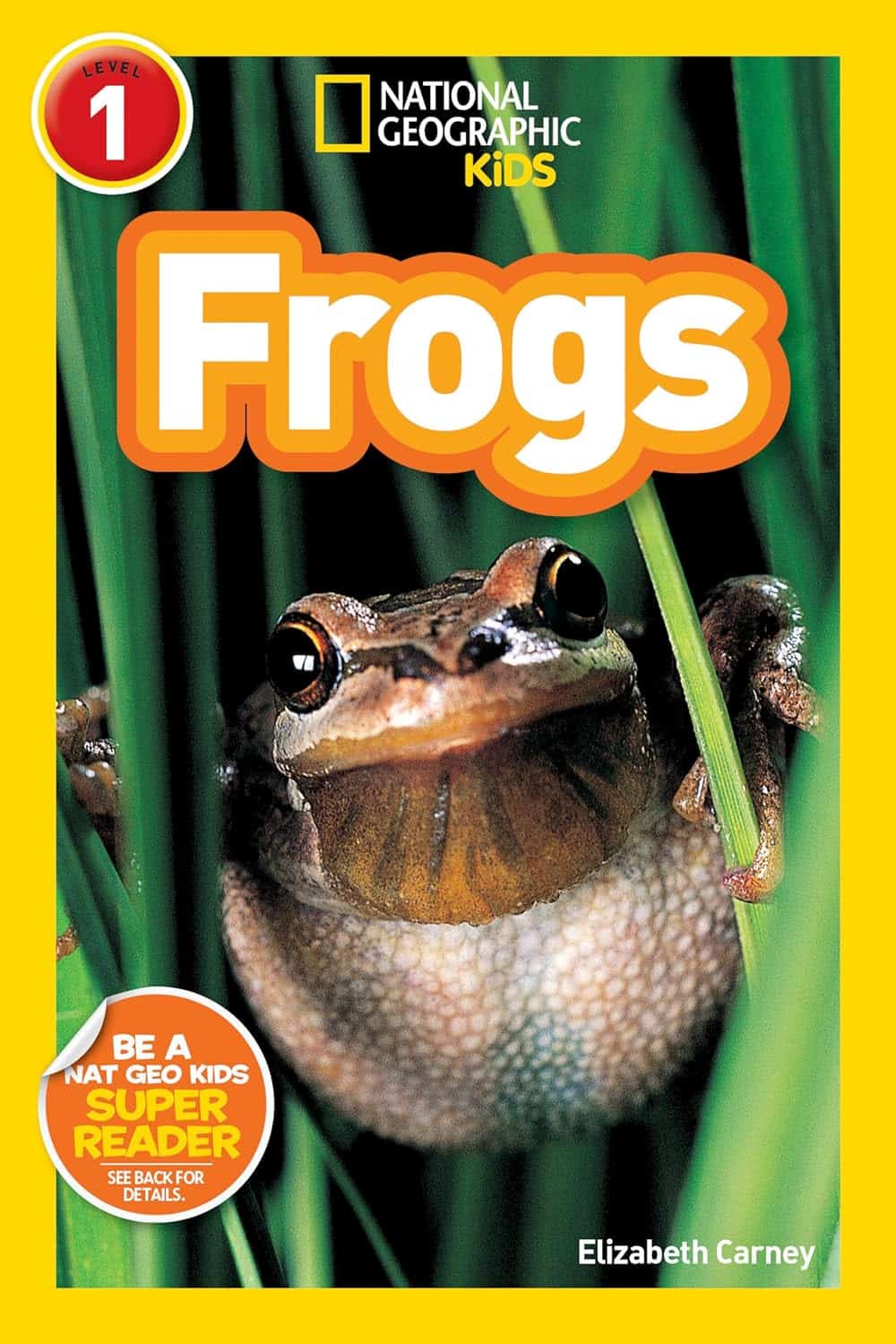 15 Nonfiction Frog Books for Preschoolers