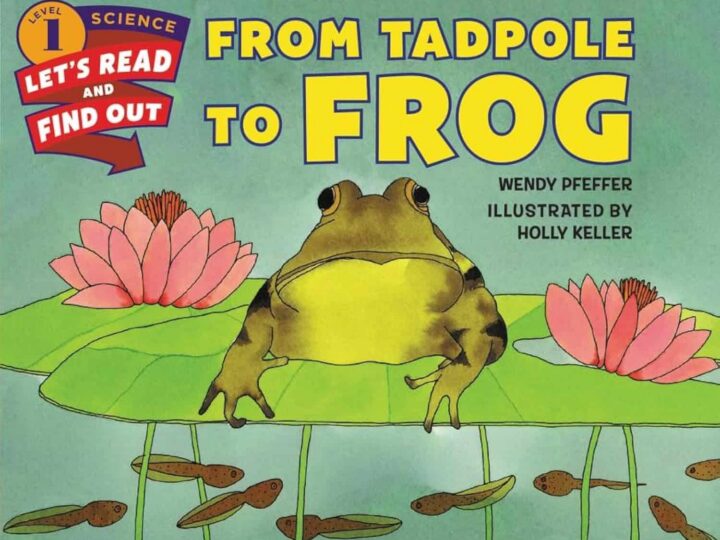 Frog Life Cycle Books for Preschool and Kindergarten (Top Picks)