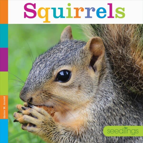 Non-Fiction Books About Squirrels: Top Picks for Kids