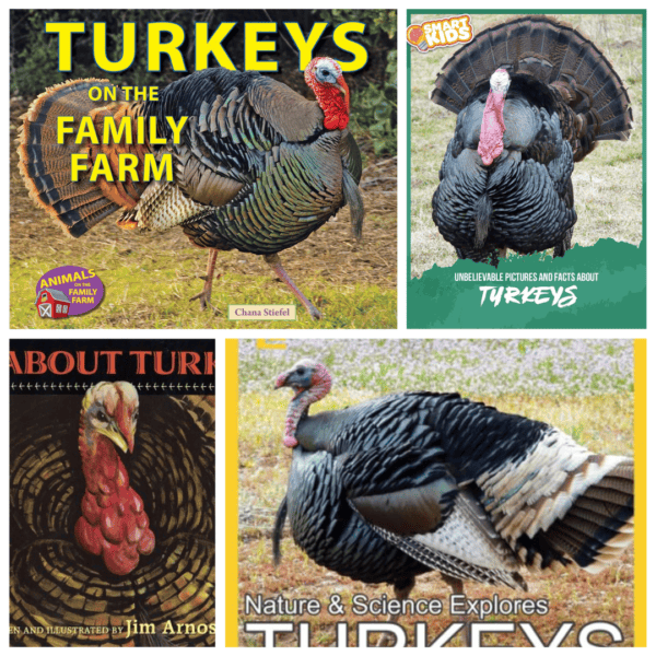 Non-Fiction Books About Turkeys: Fun & Educational Reads